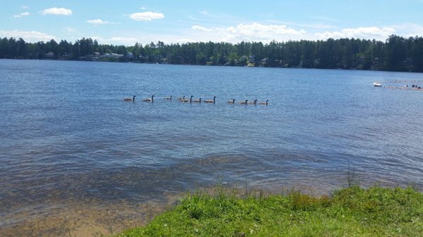 MILTON TOWN BEACH - TEMP. CLOSED - Updated November 2025 - 852 White ...