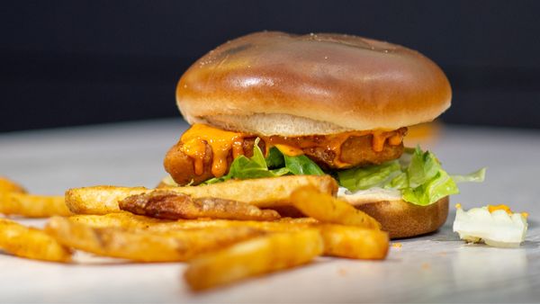 NAZ’S HALAL FOOD - Updated October 2025 - 34 Photos - 2435 S Orange Ave ...