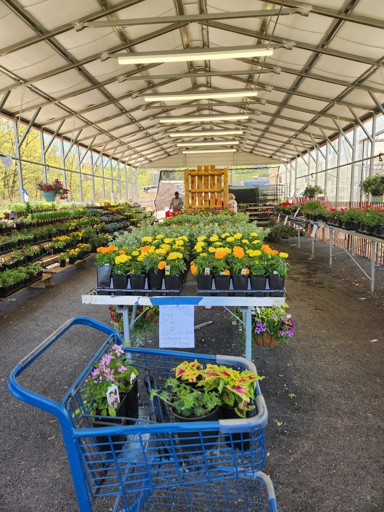 380 AUCTION DISCOUNT WAREHOUSE - Updated December 2025 - 63 Photos & 28 ...