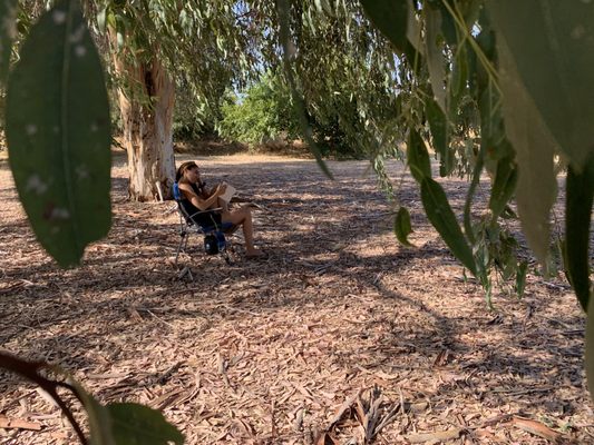 LEMON COVE VILLAGE - Updated August 2024 - 101 Photos & 94 Reviews ...