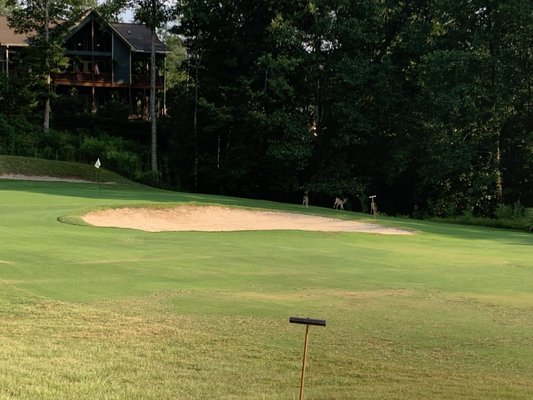 WHITEPATH GOLF CLUB - Updated December 2025 - 16 Reviews - 1156 ...