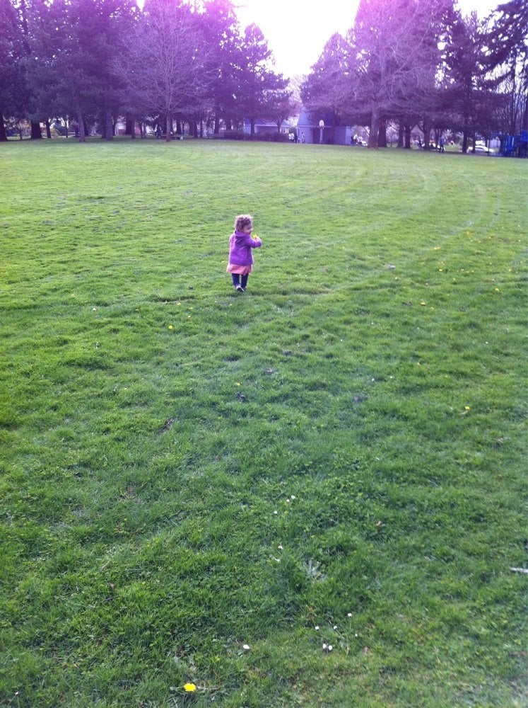 MCKENNA PARK - Updated July 2025 - N Wall St & N Princeton Ave ...