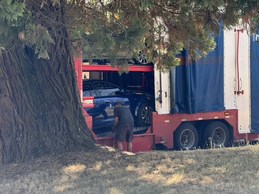 J&S TRANSPORTATION - Updated June 2026 - 14 Photos & 16 Reviews - 7 N ...