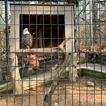 BRANDYWINE ZOO - Updated July 2024 - 125 Photos & 61 Reviews - 1001 N ...