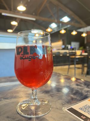 PLAY EUGENE - Updated November 2025 - 32 Photos & 18 Reviews - 232 W 5th Ave, Eugene, Oregon ...