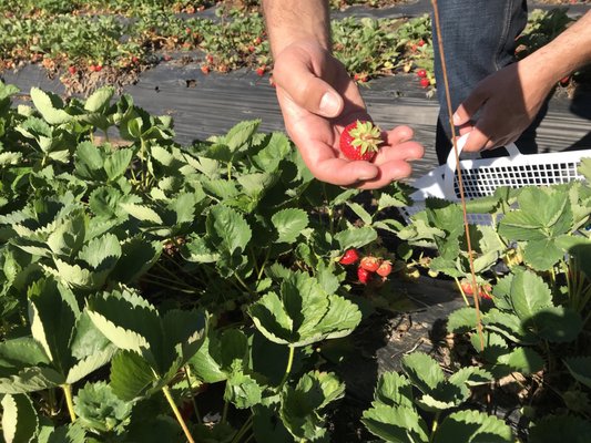 FOUR CORNERS FARM - Updated October 2025 - 16 Photos - 306 Doe Hill Rd ...