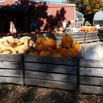 KOHLER FARMS - Updated June 2025 - 19 Reviews - 1262 Limekiln Pike ...