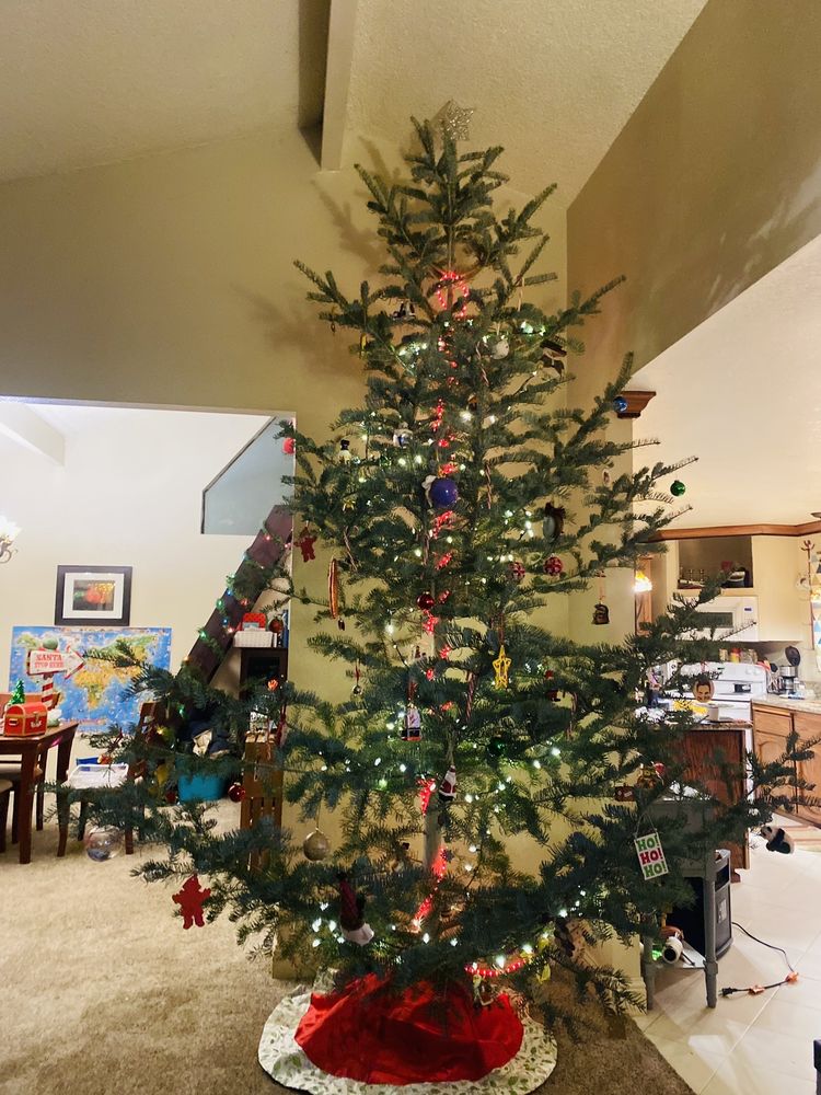 SIERRA MAGNIFICA CHRISTMAS TREE FARM - Updated October 2025 - 13 Photos ...