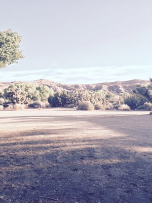 ST ANDREW’S ABBEY - 120 Photos & 24 Reviews - 31001 N Valyermo Rd ...