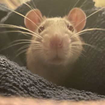 EAST BAY VIVARIUM - Updated January 2025 - 648 Photos & 599 Reviews ...