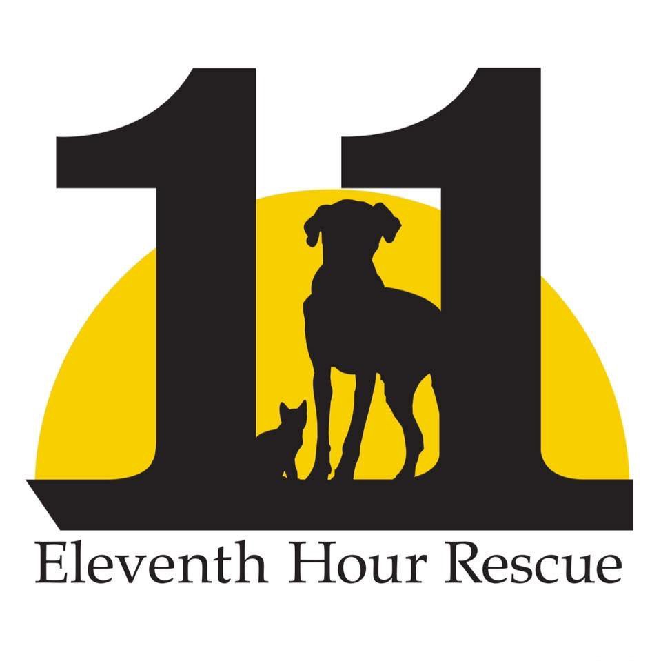 ELEVENTH HOUR RESCUE - ROCKAWAY - Updated November 2024 - 13 Photos ...