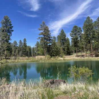 TORREON GOLF CLUB - Updated August 2025 - 30 Photos & 24 Reviews - 651 ...