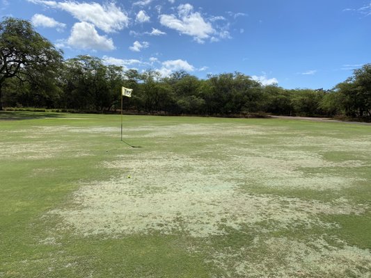 BARBERS POINT GOLF COURSE 【65 Photos & 23 Reviews】 2249 Essex Rd ...