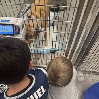 VETERINARY EMERGENCY GROUP - Updated June 2025 - 113 Photos & 125 ...