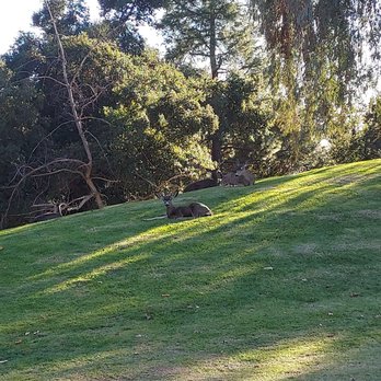 MARSHALL CANYON GOLF COURSE - Updated July 2024 - 122 Photos & 76 ...