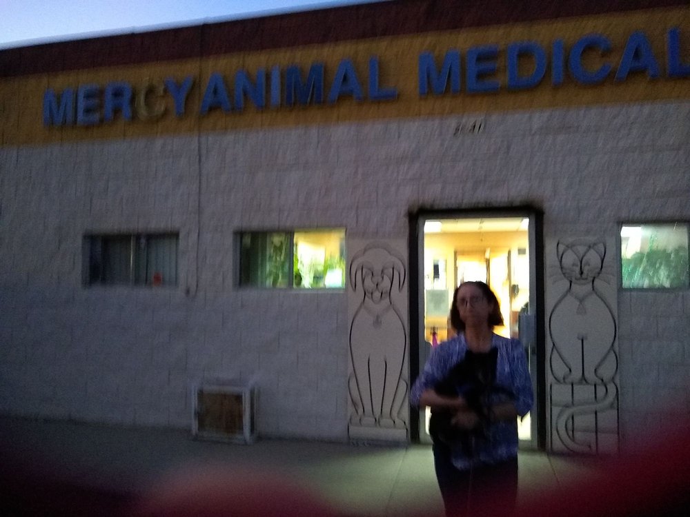 MERCY ANIMAL MEDICAL CENTER - 117 Photos & 186 Reviews - 2141 E Market ...