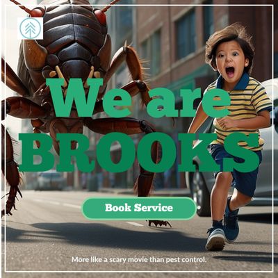 BROOKS PEST CONTROL - Updated October 2025 - 55 Photos & 213 Reviews ...