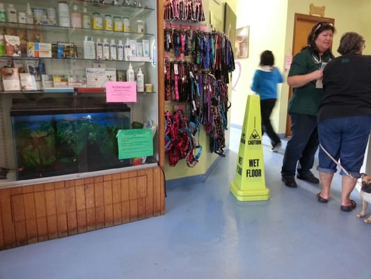 ALOHA VETERINARY CENTER - Updated June 2026 - 15 Photos & 94 Reviews ...