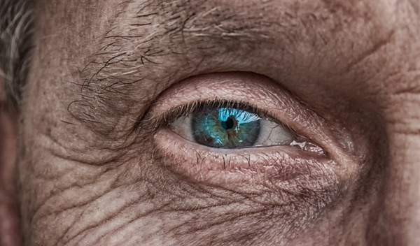 STERLING VISION - Updated October 2025 - 11 Photos & 12 Reviews - 1011 ...