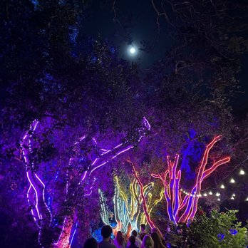 LIGHTSCAPE SAN DIEGO - Updated November 2024 - 189 Photos & 38 Reviews ...