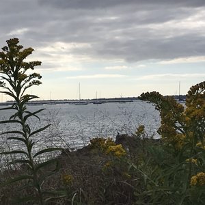 MCCOOK POINT BEACH AND PARK - Updated September 2025 - 55 Photos & 11 ...