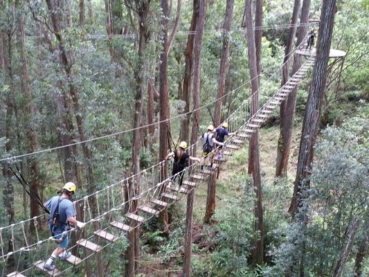 KOHALA ZIPLINE - Updated December 2025 - 501 Photos & 710 Reviews - 55 ...