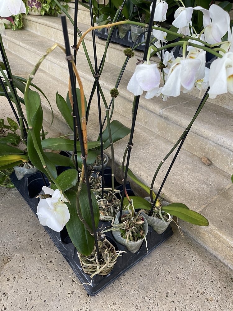 MY FAMILY GARDEN & NURSERY - Updated July 2025 - 14 Photos & 11 Reviews ...