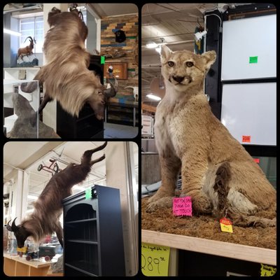 CITY LIQUIDATORS - 194 Photos & 242 Reviews - 823 SE 3rd Ave, Portland ...