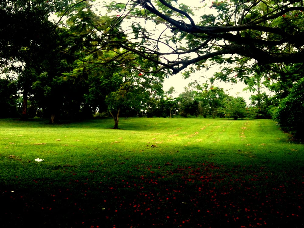 GUYATT PARK - Updated January 2026 - Sir Fred Schonell Dr & Macquarie ...