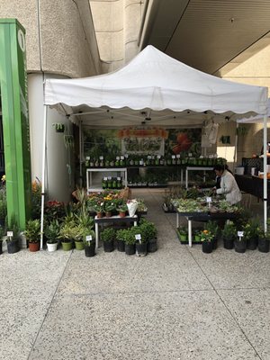KAISER PERMANENTE RIVERSIDE CERTIFIED FARMERS’ MARKET - 45 Photos & 12 ...
