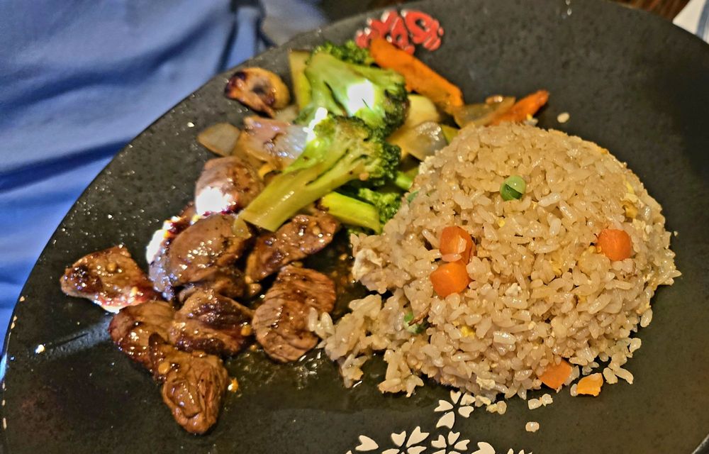 HAYASHI JAPANESE STEAKHOUSE - Updated June 2026 - 198 Photos & 259 ...
