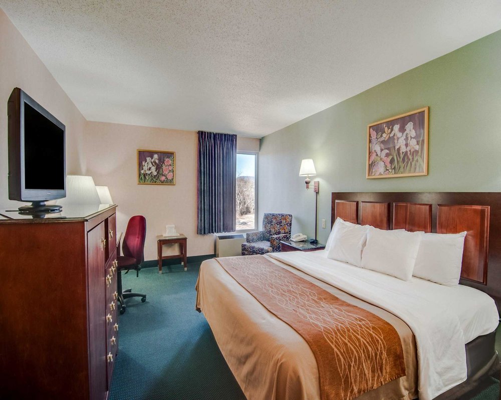 COMFORT INN VIRGINIA HORSE CENTER - Updated August 2024 - 17 Photos ...