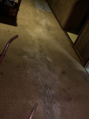 CORBIN FUEL - Updated August 2025 - 26 Reviews - 33 E Ellendale St, Bel ...