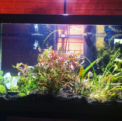 TARGET - Updated October 2025 - 39 Photos & 26 Reviews - 25 Boston Post ...