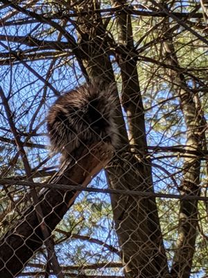 STONE ZOO - Updated December 2024 - 216 Photos & 194 Reviews - 149 Pond ...