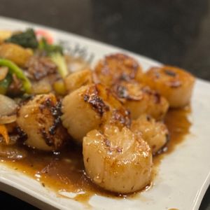 HOG MOLLY BREWING - Updated November 2025 - 93 Photos & 28 Reviews ...