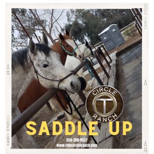 V6 RANCH - Updated February 2025 - 23 Photos & 14 Reviews - 70410 ...