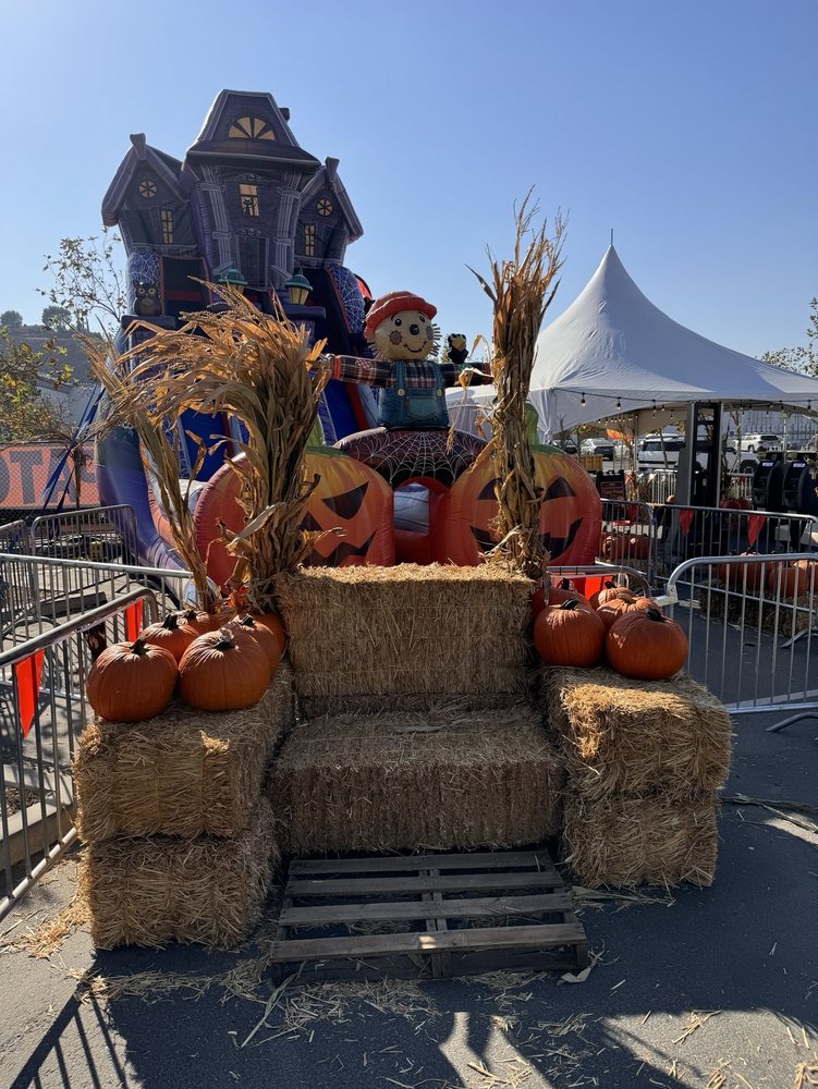 LITTLE RASCALS PUMPKIN PATCH - Updated October 2025 - 29 Photos & 15 ...