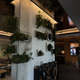 NIDO - Updated September 2025 - 791 Photos & 358 Reviews - 1211 W ...