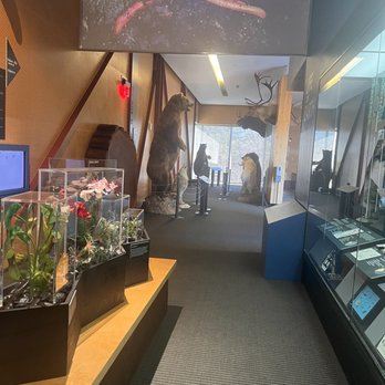 CRANBROOK INSTITUTE OF SCIENCE - Updated October 2025 - 257 Photos & 43 ...