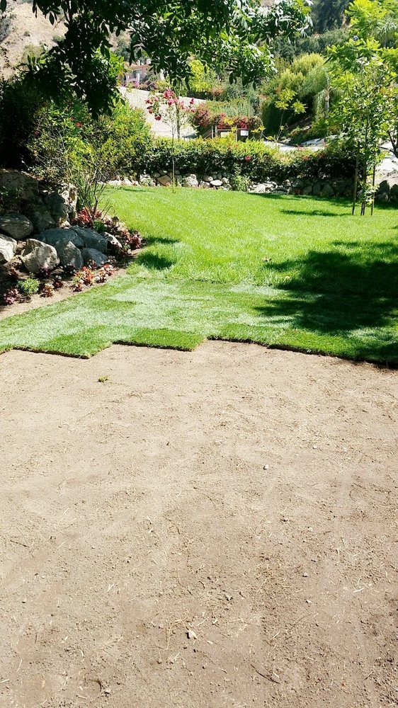 OGS LANDSCAPE TREE AND IRRIGATION - Updated June 2025 - Ontario ...