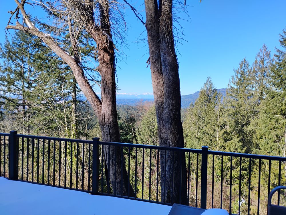 FINE LINE TREE SERVICE - Updated September 2025 - 13 Photos & 11 ...