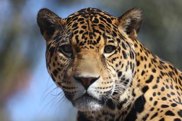 STONE ZOO - Updated September 2025 - 239 Photos & 213 Reviews - 149 ...