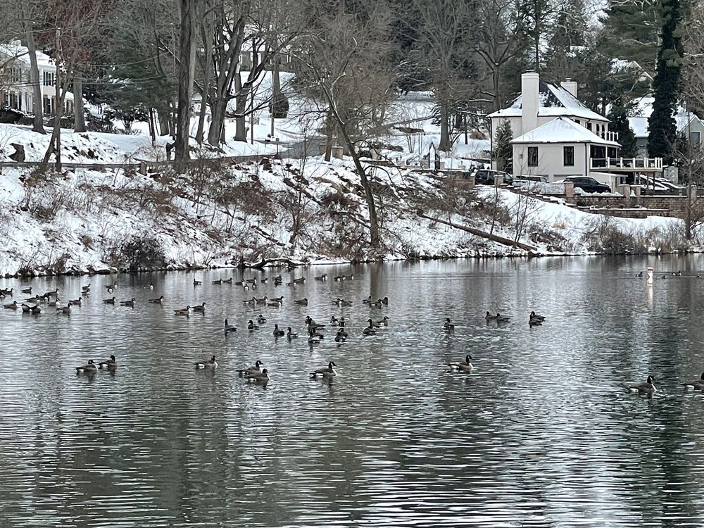 SPRINGTON RESERVOIR PICNIC PAVILION - Updated December 2024 - 10 Photos ...
