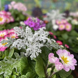 PROST! WEST SEATTLE - Updated October 2025 - 86 Photos & 174 Reviews ...