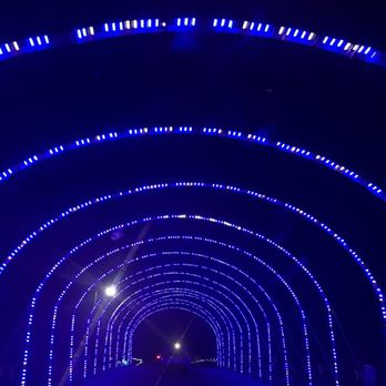 BRIGHT NIGHTS AT FOREST PARK - Updated November 2025 - 156 Photos & 55 ...