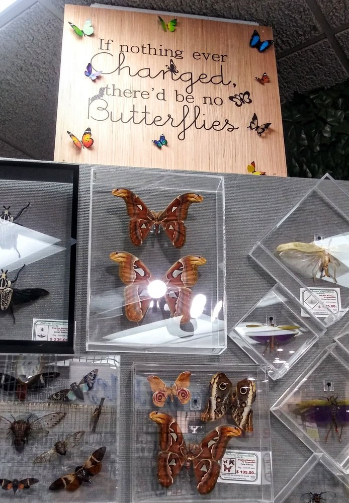 NATURE CONNECTION WORLD - Updated April 2024 - 3111 S 31st St, Temple ...