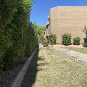 CANVAS TEMPE - Updated August 2025 - 30 Photos & 60 Reviews - 1028 E ...