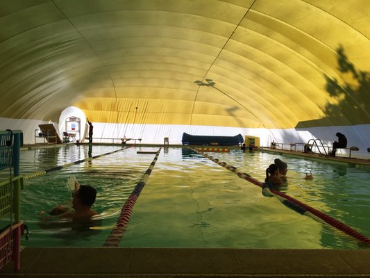 ANT SWIM SCHOOL - 31 Photos & 112 Reviews - 520 W Virginia St, San Jose ...