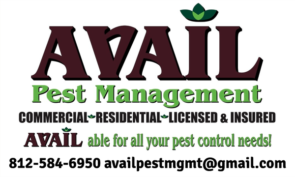 AVAIL PEST MANAGEMENT - Updated January 2025 - Request a Quote - 8104 ...